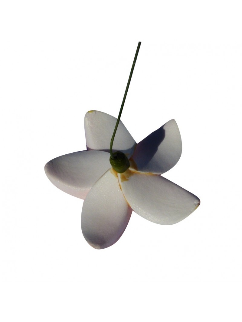 Fleur marron maori sur pic